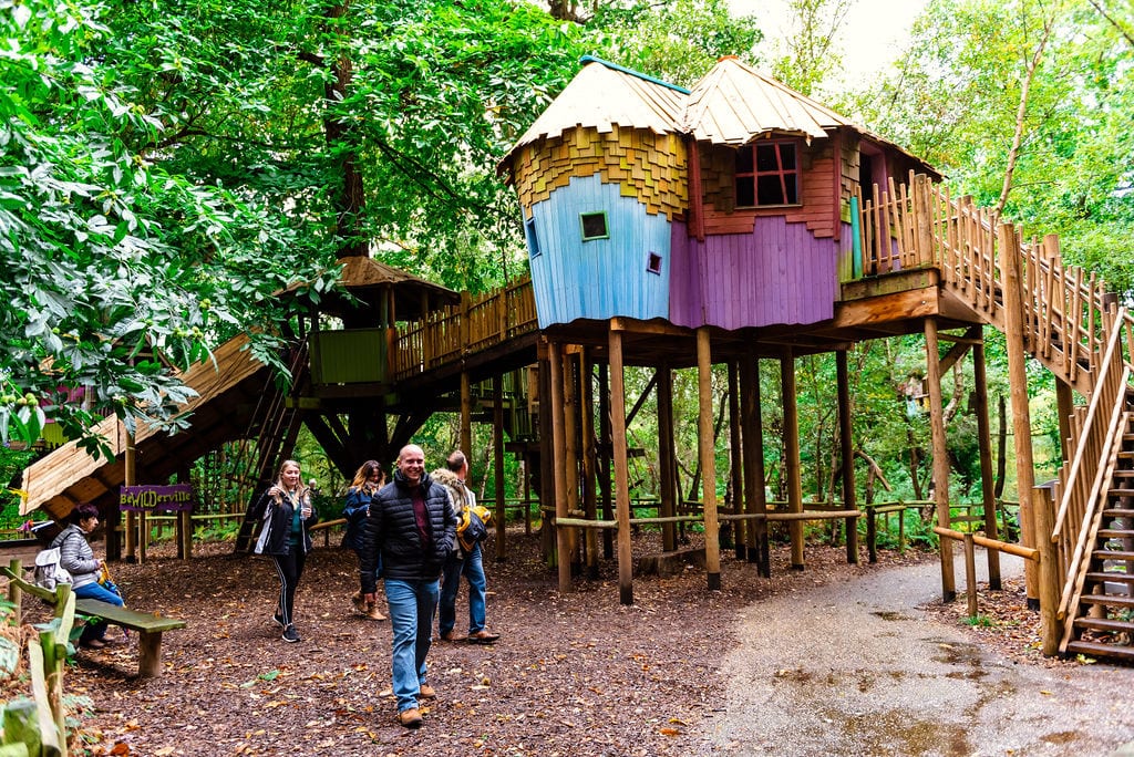 BeWILDerwood Treehouse Theme Park - A Norfolk Break